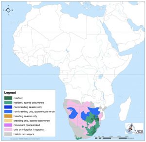 About African Vultures - Vulpro